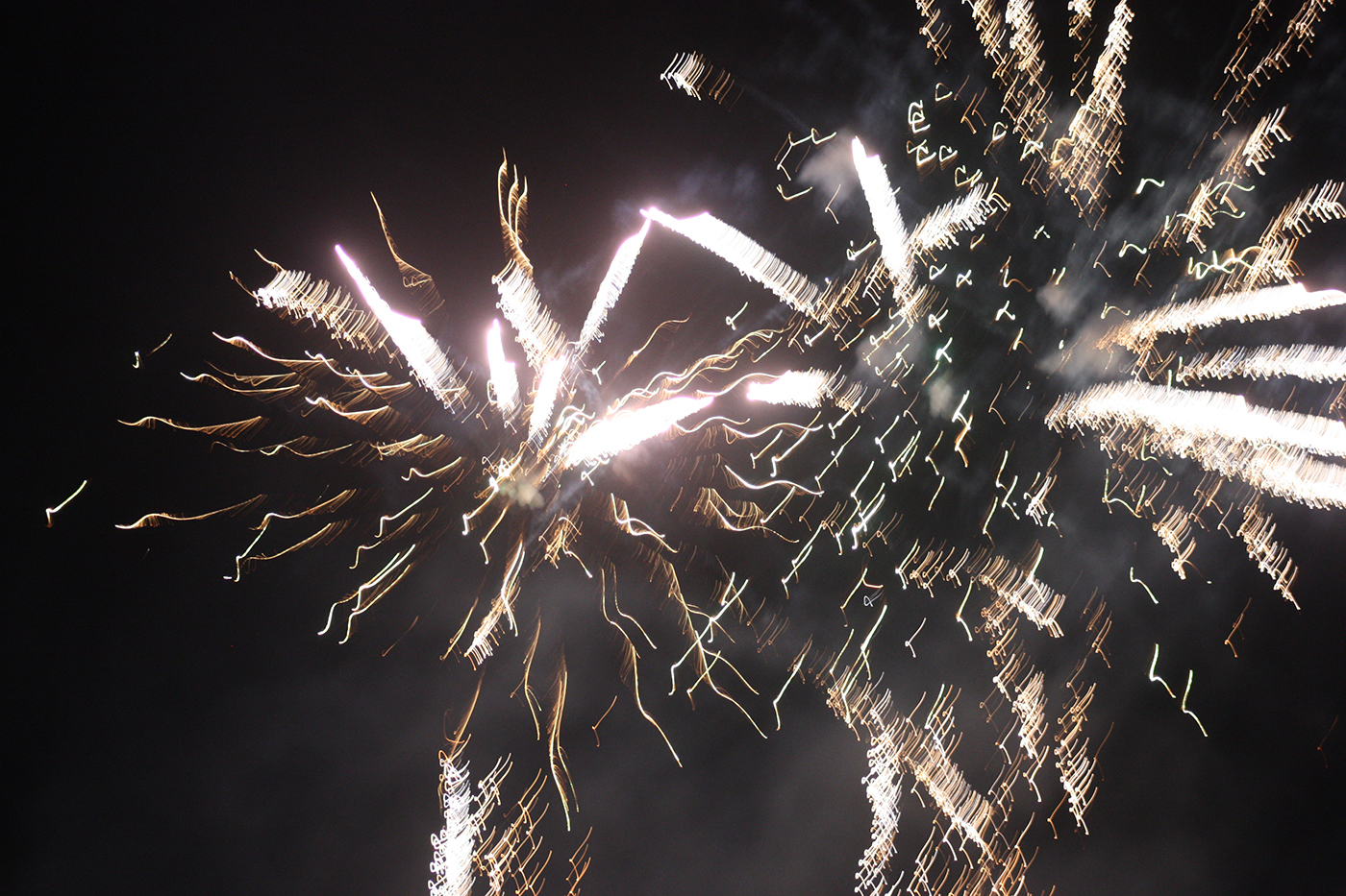 Gallery – Kalgoorlie Boulder Community Fair